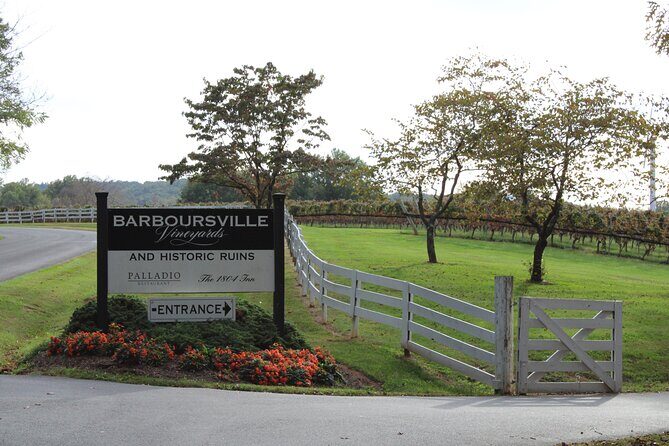Private Charlottesville Area Wine Tour - The Experience and What Travelers Say