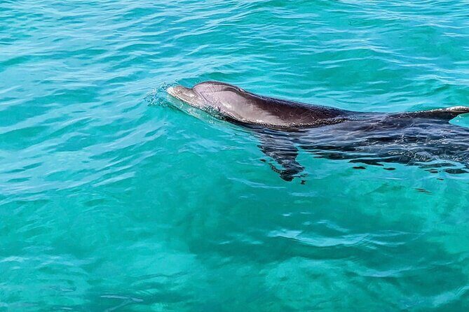 Private Charter Boat with Slide from Panama City - The Sum Up