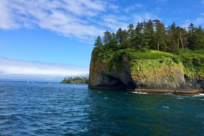 Private Charter Scenic Wildlife Excursion for Cruise Passengers - FAQs