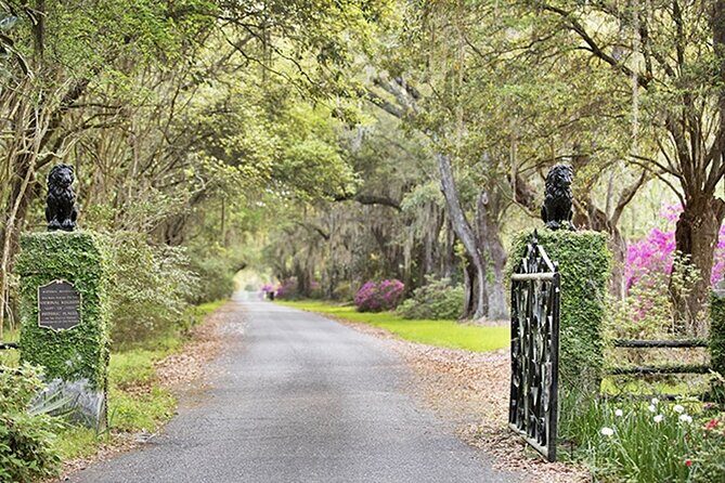 Private Chauffeur & Admission to Middleton & Magnolia Plantation + Box Lunch - Who Should Consider This Tour?