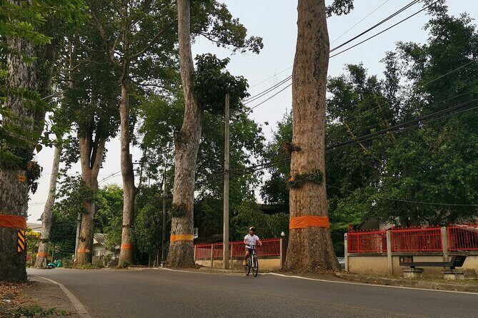 Private Chiang Mai Half-Day Bike Tour - Scenic Stops That Tell a Story