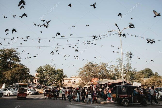 Private City Tour of Old Delhi With Rickshaw Ride - FAQ