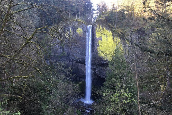 Private - Columbia River Gorge Waterfalls and Wine Tour - Analyzing the Experience: Value and Practicality