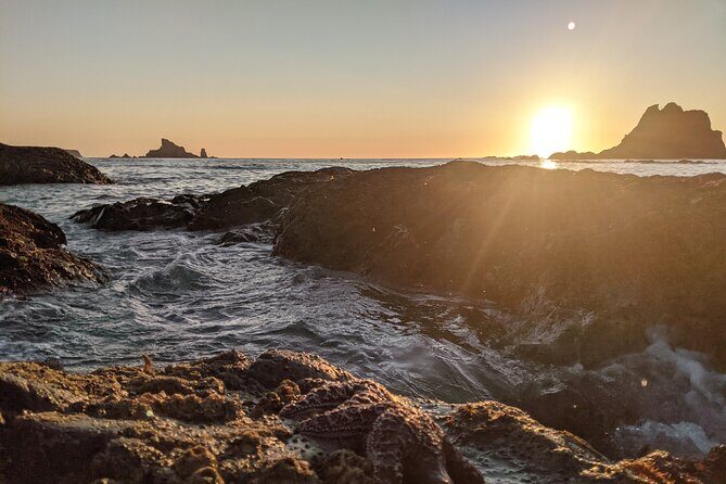 Private Day Hike- Rialto Beach Tide Pooling - Final Thoughts