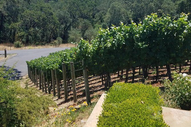 Private Day Tour: Napa Valley Wine Tasting from San Francisco - 6hrs - Final Thoughts: Who Will Appreciate This Tour?