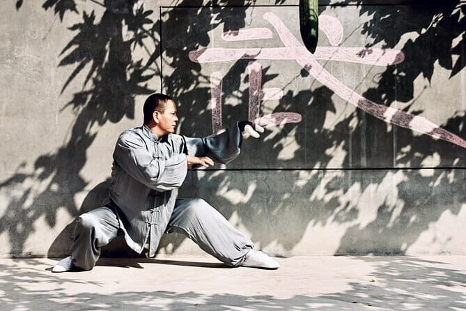 Private Day Tour of Chinese Kungfu and Terra-cotta Warriors - Practical Tips for the Day