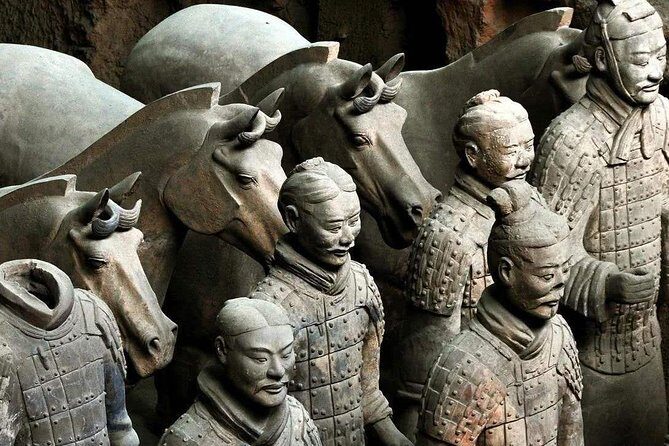 Private Day tour of Xi'an From Beijing Including Transfer Service - Analyzing the Cost and Value