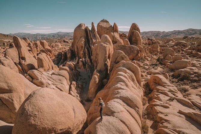 Private Day Tour to Joshua Tree National Park from San Diego - Practical Details and Booking Tips