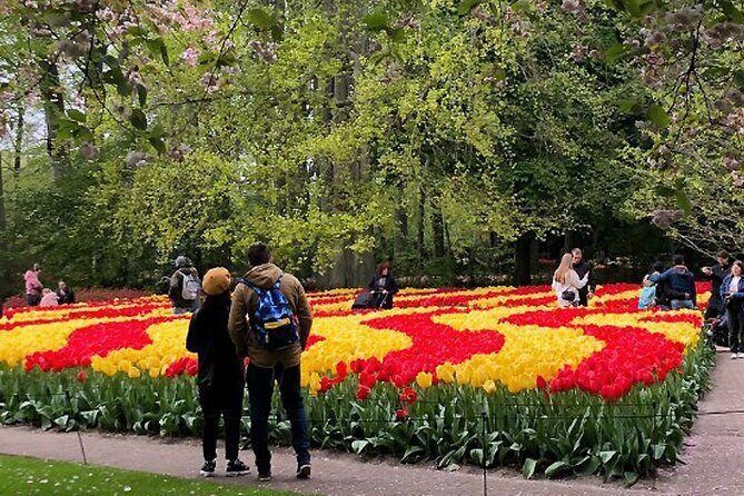Private Day Tour to Keukenhof Gardens - from Amsterdam/Rotterdam - Who This Tour Is Best For