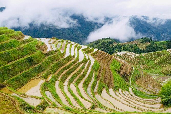 Private Day Tour to Longji Rice Terraces from Yangshuo - Why Travelers Love This Tour