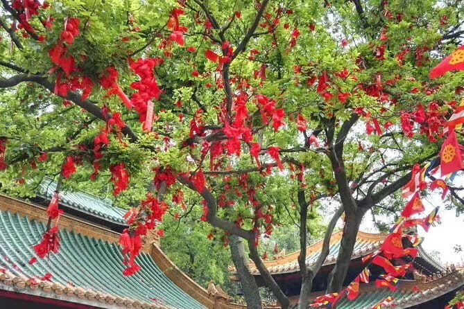 Private Day Tour to Mount Guifeng in Xinhui from Guangzhou - What Travelers Say (Based on Available Reviews)