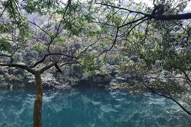 Private Day tour to Mt Dinghu and Seven Star Crags from Guangzhou - Considerations and Tips