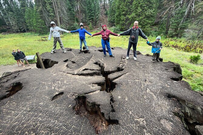 Private Day Tour to Sequoia and Kings Canyon Parks From LA - Who Should Consider This Tour?