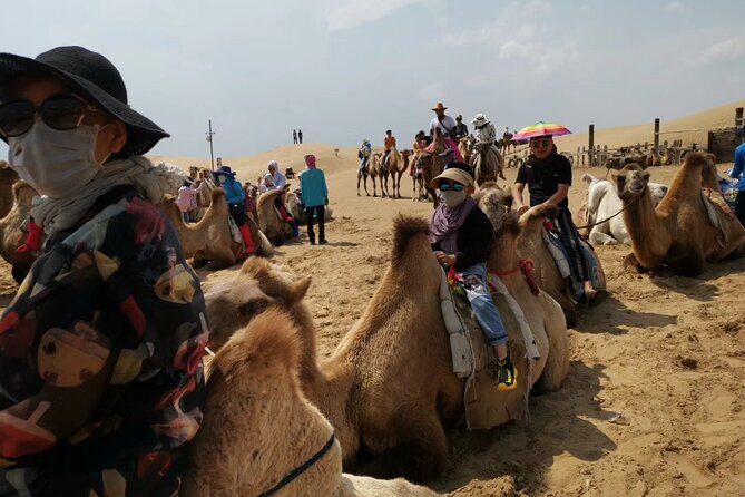 Private Day Tour to Xiangshawan Desert from Hohhot - Potential Drawbacks