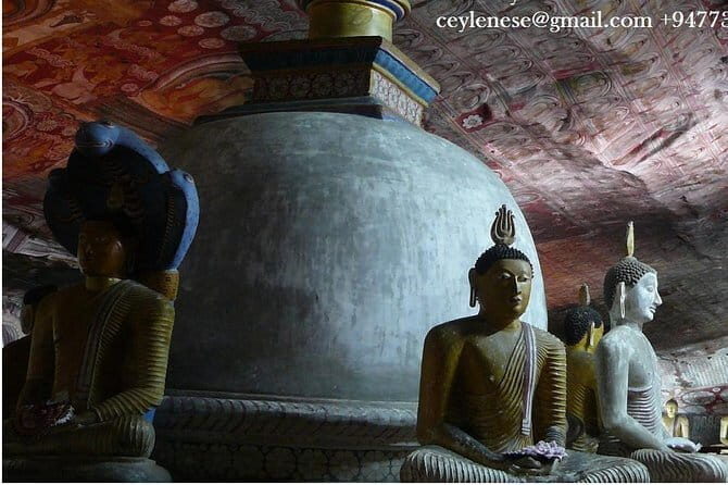 Private day trip Sigiriya, Dambulla with Kaudulla national park safari - Who Will Love This Tour?