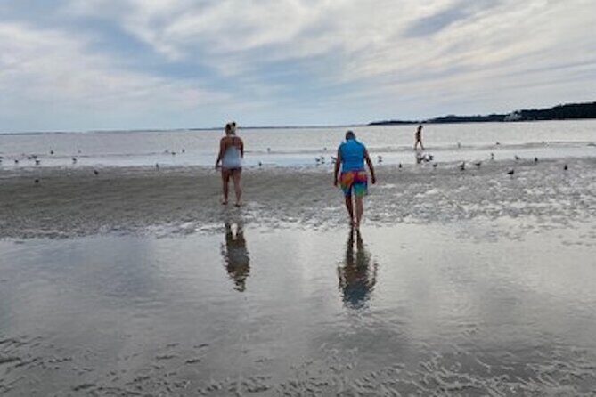 Private Disappearing Island Dolphin Tour - The Itinerary in Detail