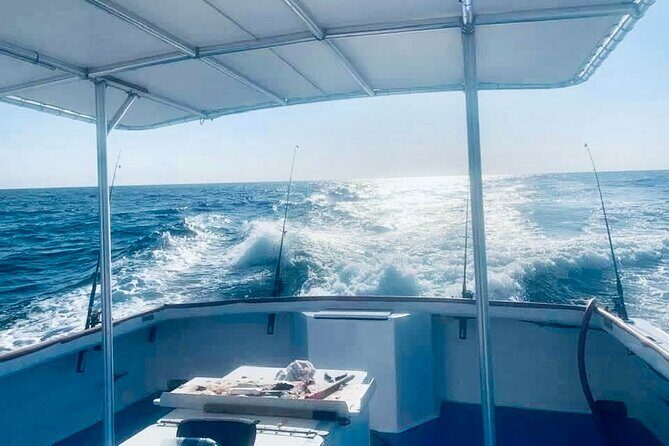 Private Dolphin Cruise in Panama City Beach - The Itinerary Breakdown