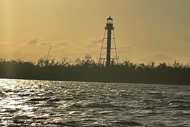 Private Dolphin & Sightseeing Boat Day Tour - The Experience for Different Travelers