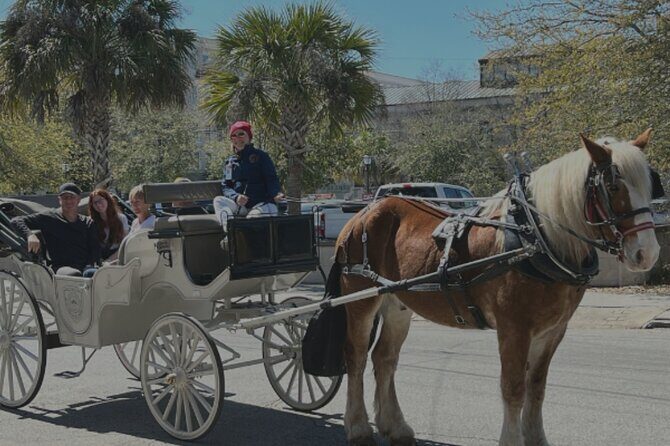 Private Evening Historic Carriage Tour in Charleston - What Travelers Say & Why It Matters