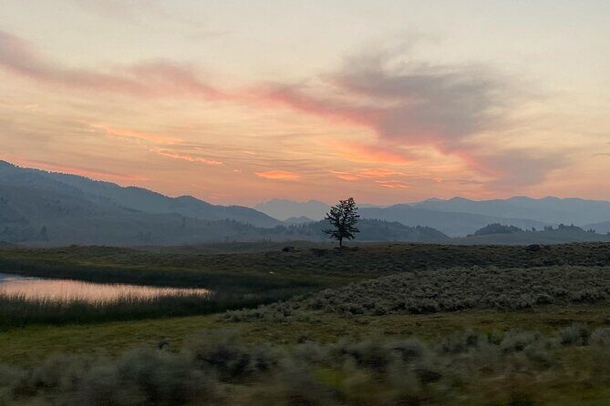 Private Evening/Sunset Wildlife Encounter Tour - In Summary: Is It Worth It?