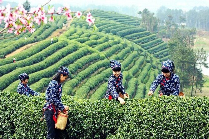 Private Flexible Hangzhou Layover Tour in Your Way - FAQs