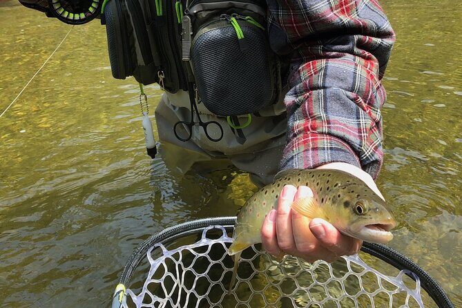 Private Full Day Fly Fishing For Beginners and Experienced Anglers - Frequently Asked Questions