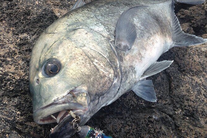 Private Full Day of GT Fishing - From Meeting to Ending the Day