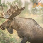 Private Full Day Photography Workshop of Fairbanks - Exploring the Fairbanks Photography Workshop