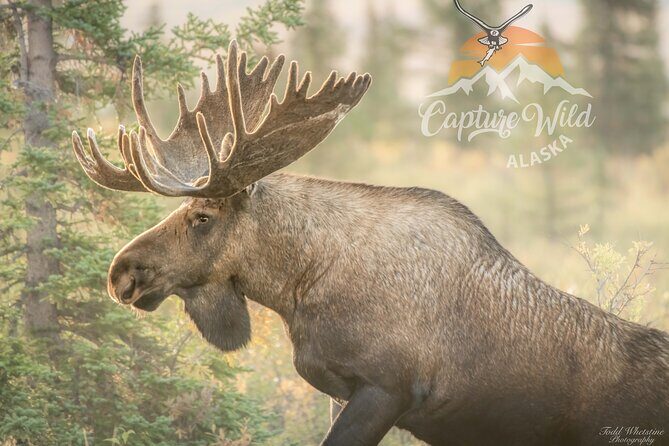 Private Full Day Photography Workshop of Fairbanks - Exploring the Fairbanks Photography Workshop