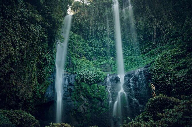 Private Full-Day Sekumpul Waterfall Hiking Tour - What to Expect from the Itinerary