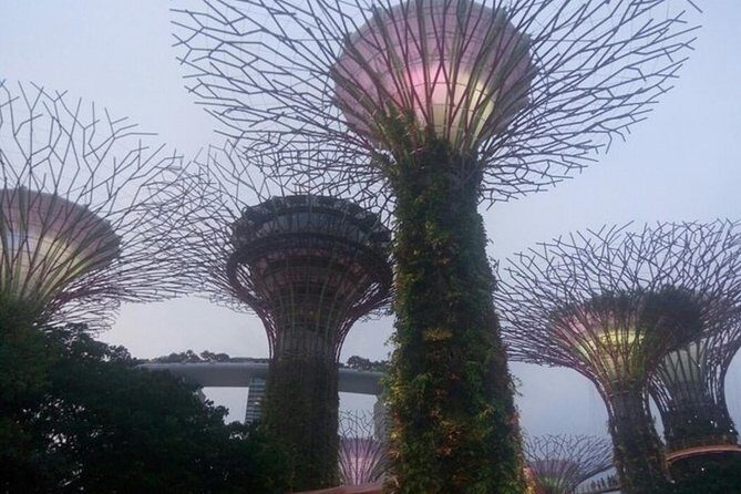 Private Full Day Singapore Highlights from Cruise Ship - Why This Tour Offers Great Value