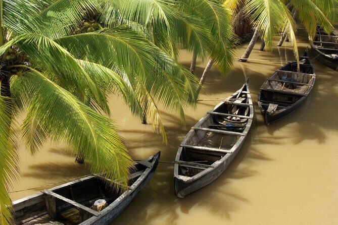Private Full Day Tour: Authentic Mekong Delta Life in Ben Tre - An In-Depth Look at the Mekong Delta Experience