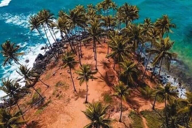 Private Full Day Tour in The Dutch Fort Galle with Pickup - Madhu River Safari: A Unique Encounter with Nature