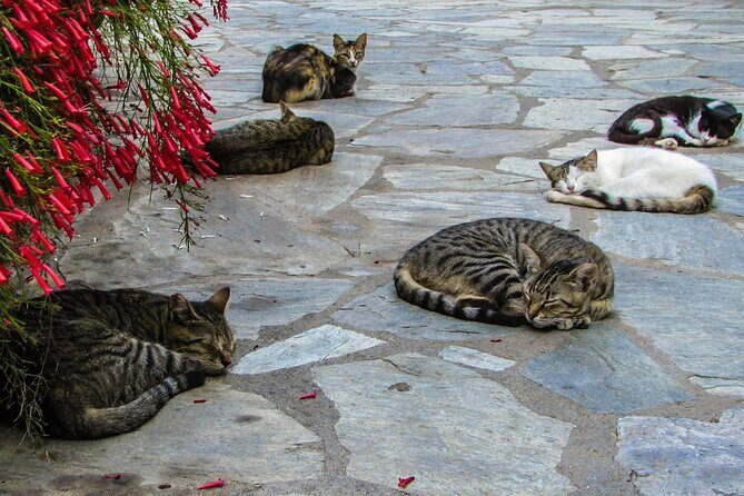 Private Full-Day Tour to Cyprus Monasteries - Who Should Consider This Tour?