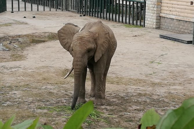 Private Full Day Tour to Harbin Beifang Forest Zoo and Optional Seafood Dinner - Why This Tour Offers Good Value