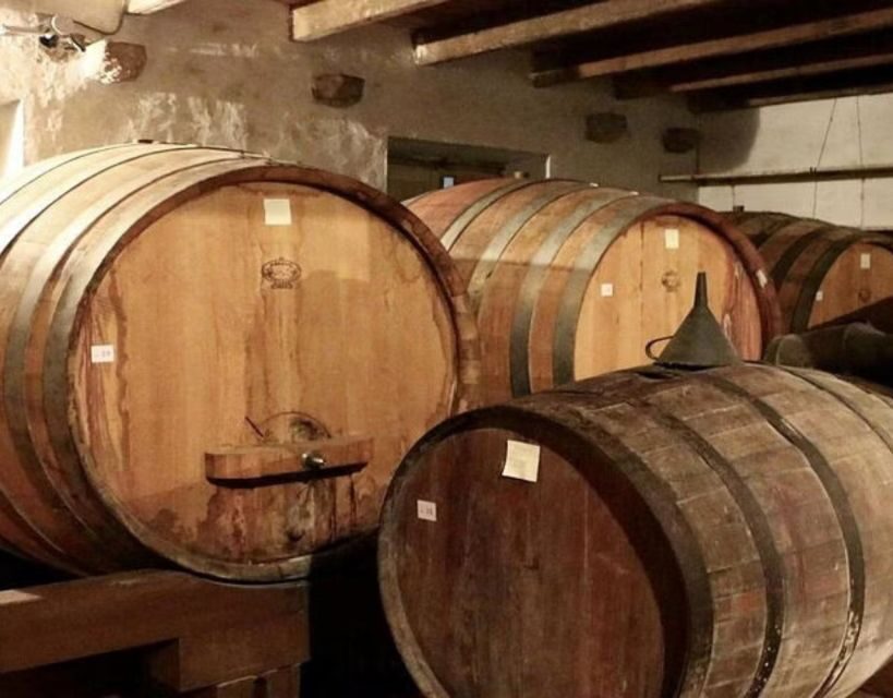 Private Full - Day Tour: Wine Tasting Tour to Peljesac - What You’ll Love About This Tour