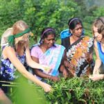 Private Galle Day Tour with Boat Safari & Tea Factory Visit - All Inclusive - What Travelers Say: Authentic feedback from recent visitors