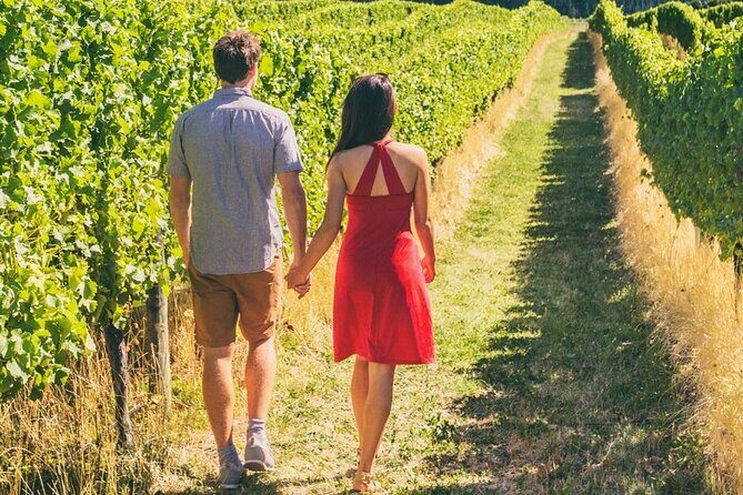 Private Group Wine Tours in Napa Valley - What We Love About This Tour