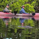 Private Guided Everglades Kayak Tour - Key Points