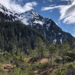 Private Guided Hike in Sitka, Alaska - What to Expect on Your Hike
