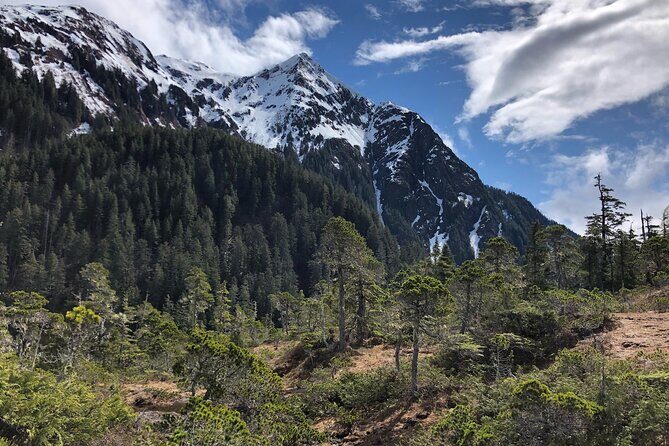 Private Guided Hike in Sitka, Alaska - What to Expect on Your Hike