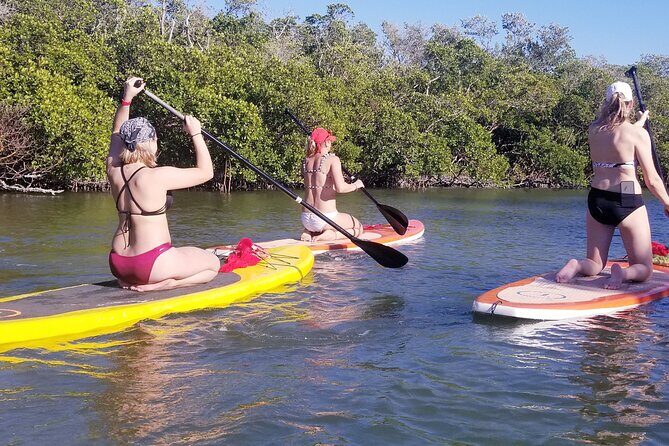 Private Guided Kayak Tour on Big Hickory Pass - What Do the Reviews Say?