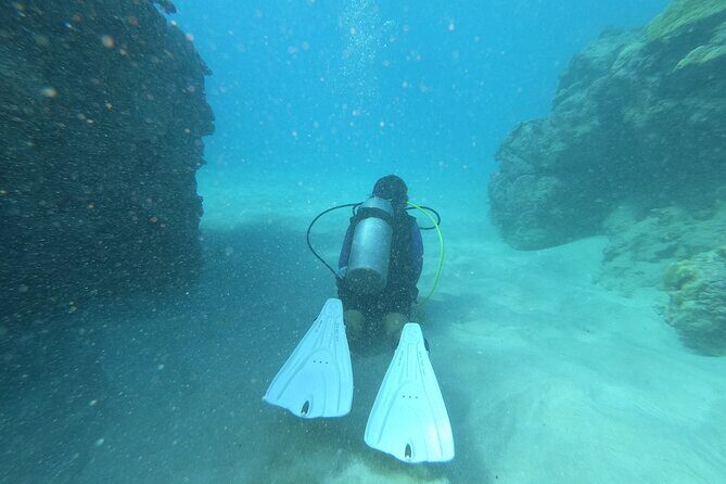 Private Guided Shore Dive - What to Expect During the Dive