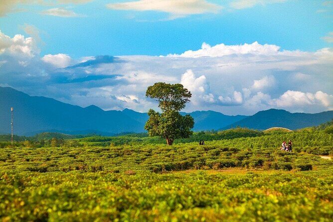 Private Guided Tour: A Spring Day in Dong Giang from Da Nang - What Makes This Tour Stand Out
