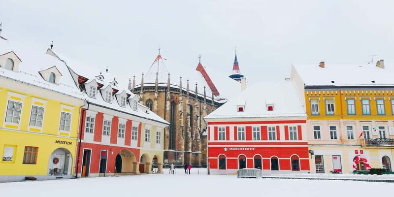 Private Guided Tour Dracula's Castle & Bear Sanctuary - Unveiling Dracula at Bran Castle