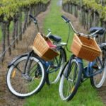 Private Guided Wine Country Bike Tour in Mattituck - The Sum Up