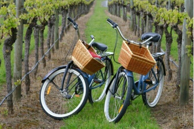 Private Guided Wine Country Bike Tour in Mattituck - The Sum Up