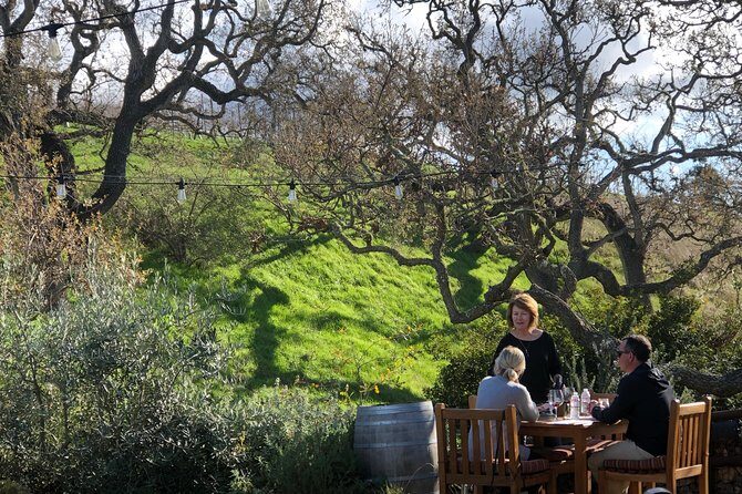 Private Guided Wine Country Tour from Santa Barbara - Transportation & Comfort