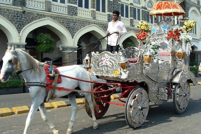 Private Half-Day City Tour of Mumbai - An In-Depth Look at the Mumbai Half-Day Tour