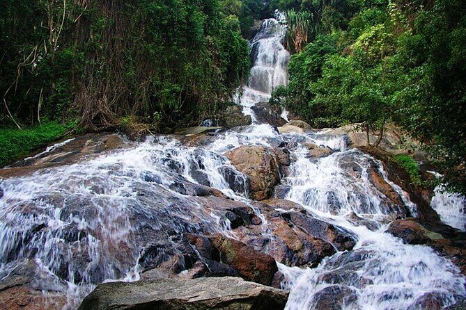 Private Half-Day Koh Samui Tour - What Do the Reviews Say?